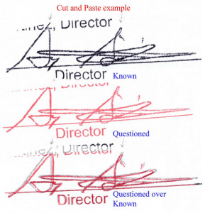 Cut and Paste Example - Q9 Consulting, Inc. Forensic expert witness